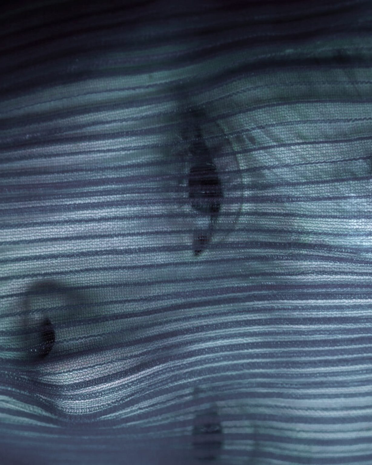 Cultural Shifts Defining Fashion Trends for Spring Summer 2026 - C2 ...