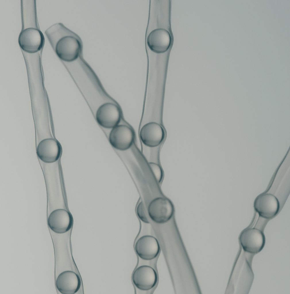 C2 Fashion Studio | Trend Forecasting Solutions