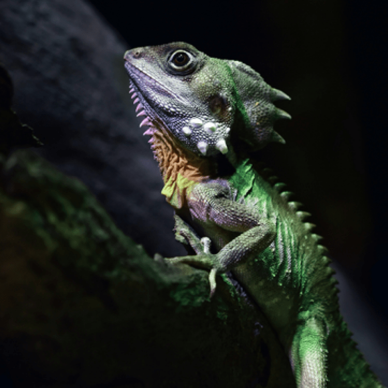 About C2 — Trend Forecasting Agency Behind What’s Next