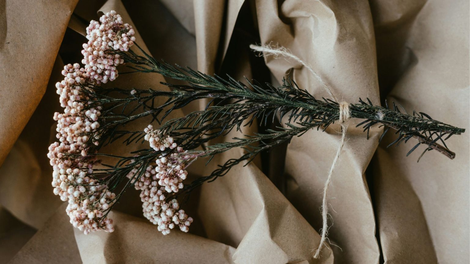 Creative Innovations Trends: Forecasting