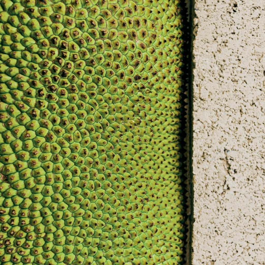 Fashion Trends Spring Summer 2027 | Future Forecast by C2