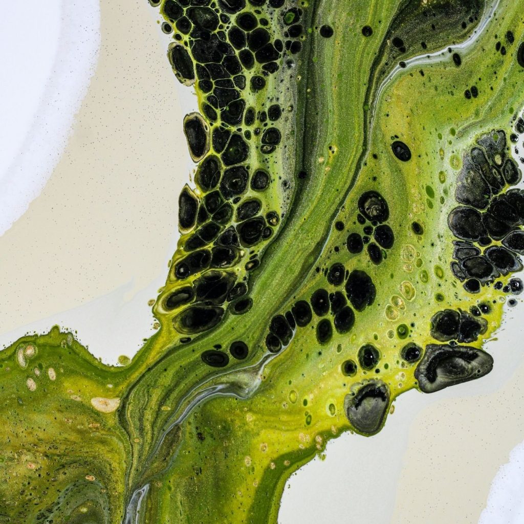 Fashion Trends Spring Summer 2027 | Future Forecast by C2